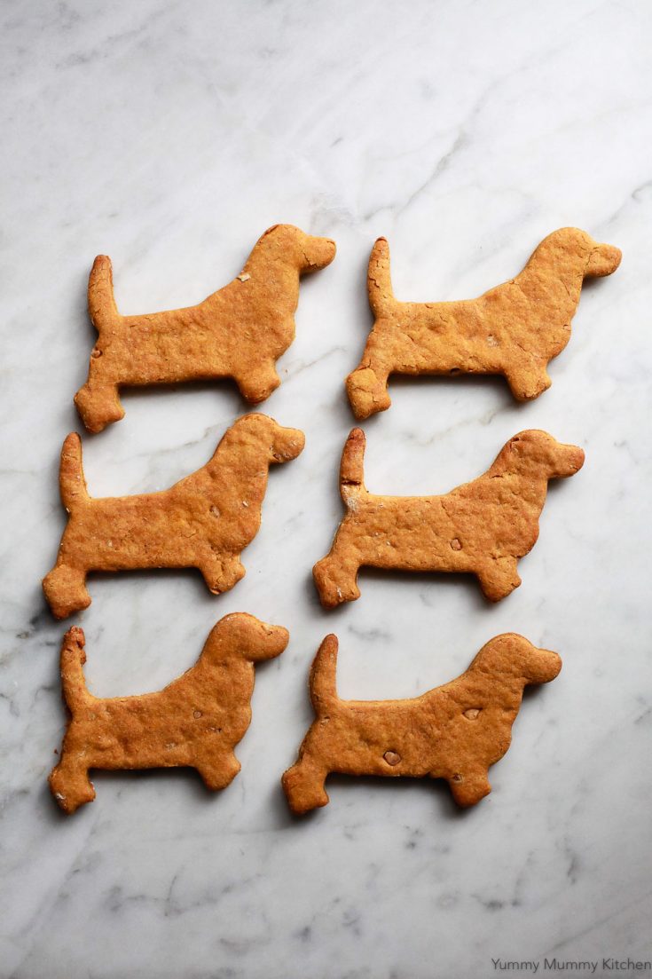 Homemade Pumpkin Peanut Butter Dog Treats Recipe