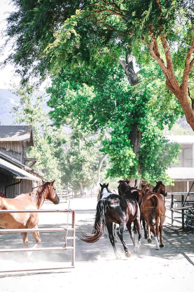 Alisal Guest Ranch in Solvang, CA - Luxury Dude Ranch Review