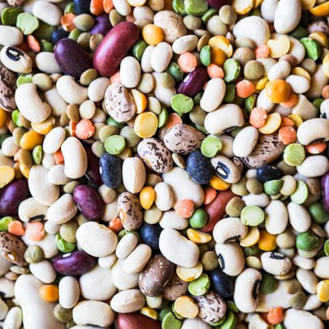 Legumes 101: Everything You Need to Know About Legumes