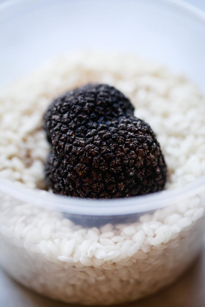 Truffles 101: What are Truffles, What do they Taste Like, Price and more!