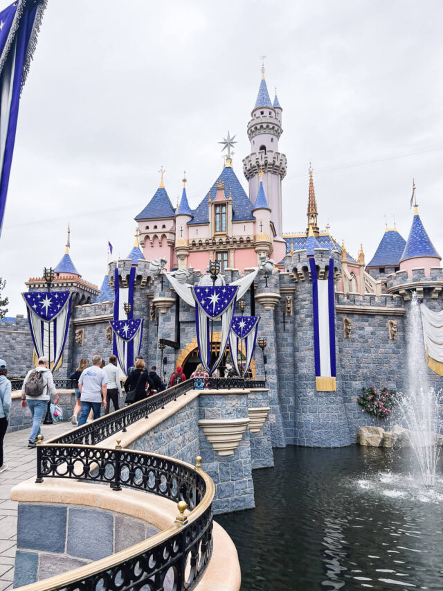 Universal Studios vs. Disneyland - Which is Best for You?