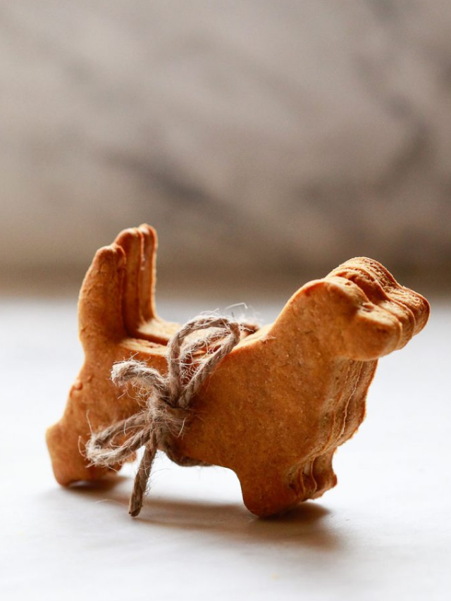 Homemade dog treats Story - Yummy Mummy Kitchen