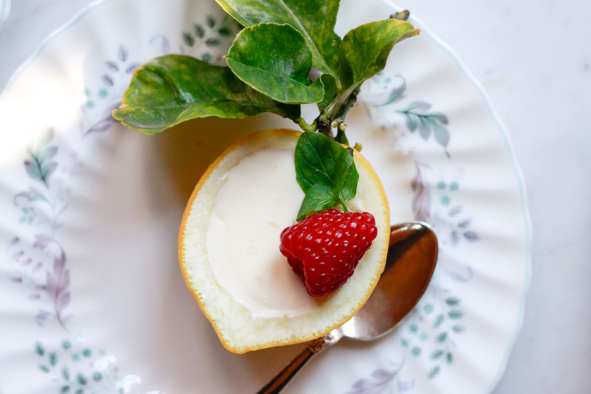 Lemon Posset Recipe