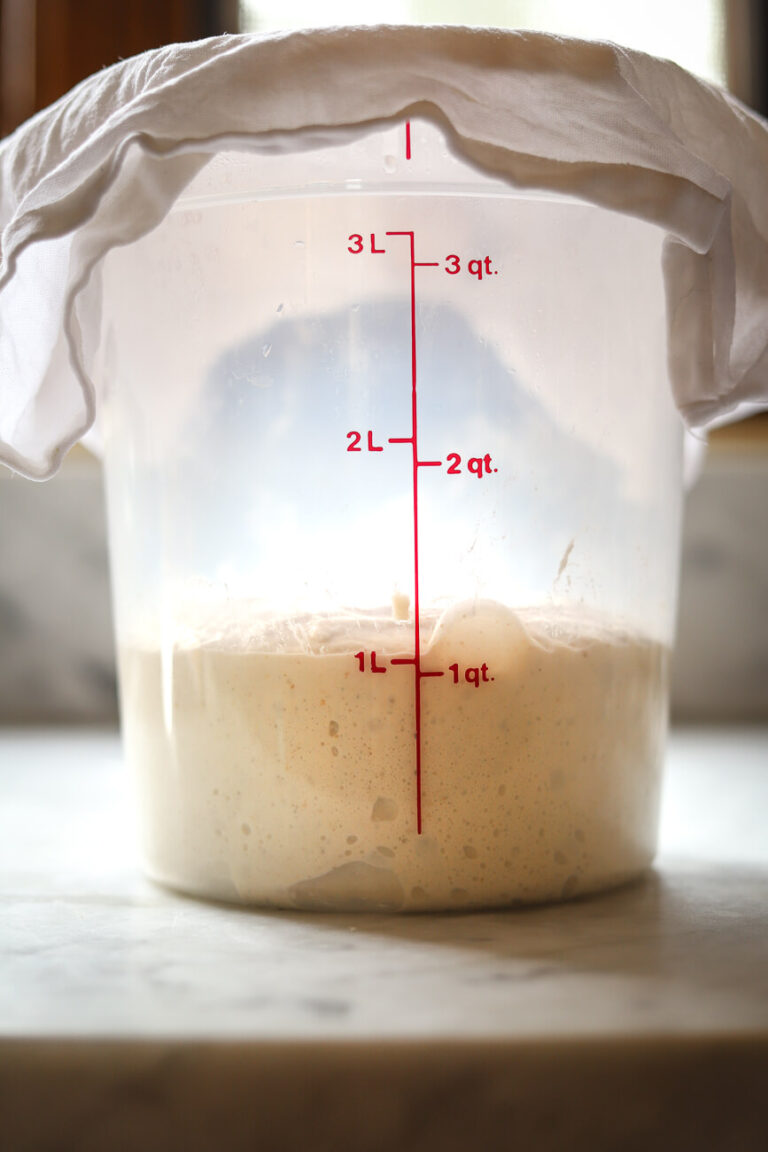 Easy High Hydration Sourdough Bread Recipe